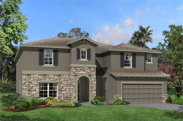 Trinity Preserve - Palazzo Plan, Trinity FL | Livabl